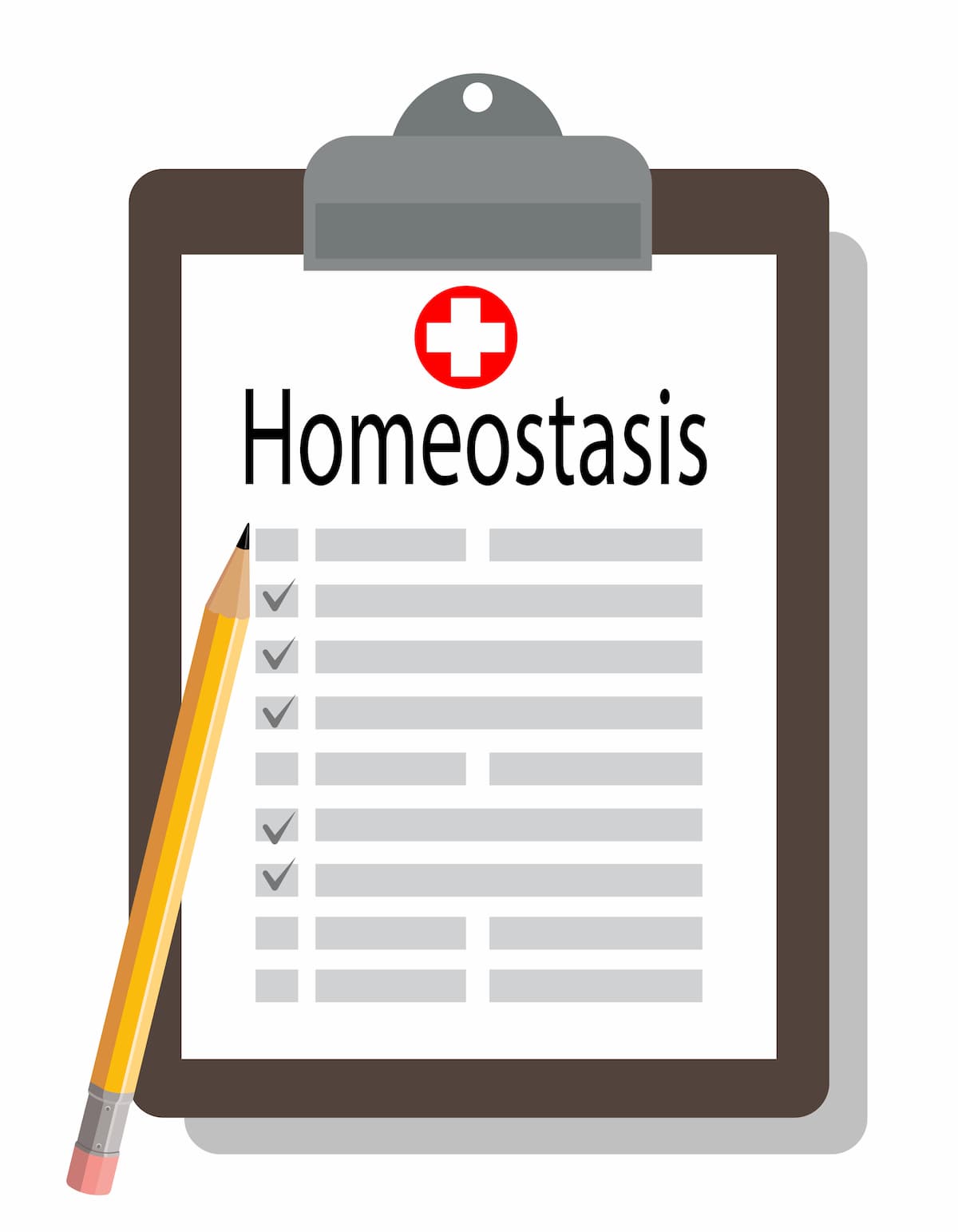 Homeostasis | Wellness | Scalar Light