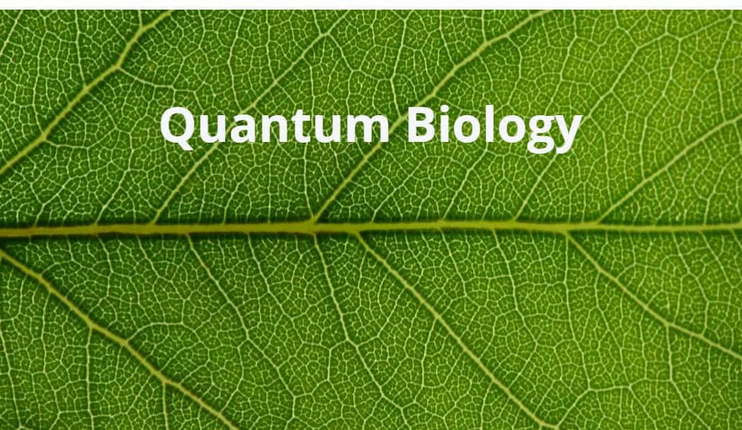What is Quantum Biology? - SCALAR LIGHT