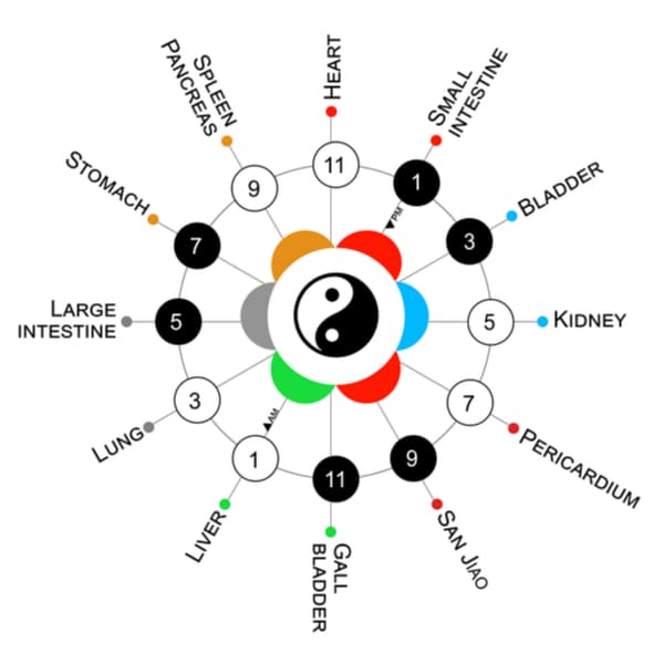 What is a Meridian in Traditional Chinese Medicine? - SCALAR LIGHT